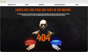 404 Error Pages: The Ultimate Guide (with 50+ Examples)