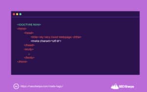 Meta Tags: The Definitive Guide to Meta-Data for SEO