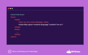 Meta Tags: The Definitive Guide to Meta-Data for SEO